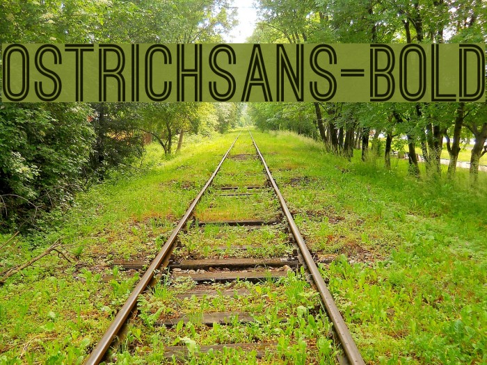 OstrichSans-Bold Font - FFonts.net