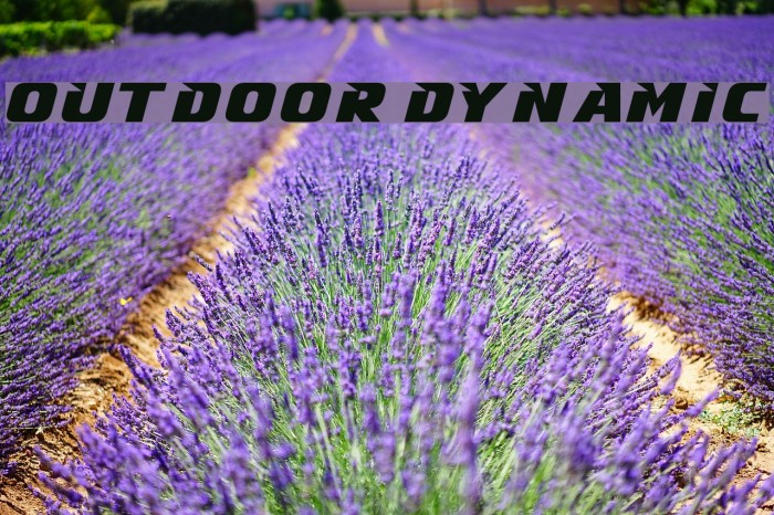 Outdoor Dynamic Font - FFonts.net