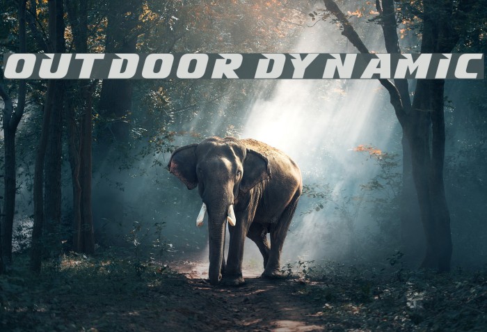 Outdoor Dynamic Font - FFonts.net