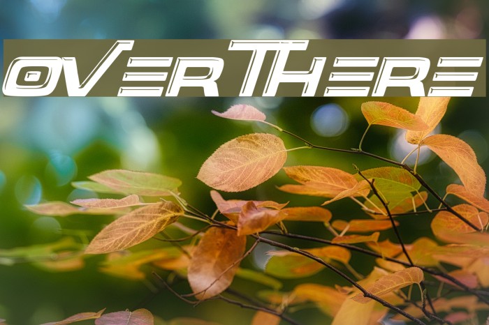Over There Font - FFonts.net