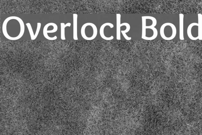 Overlock Bold Font | Free Download (TTF/OTF) | FFonts.net