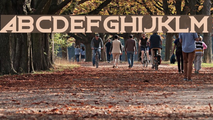 Oxen Crossbow Font - FFonts.net