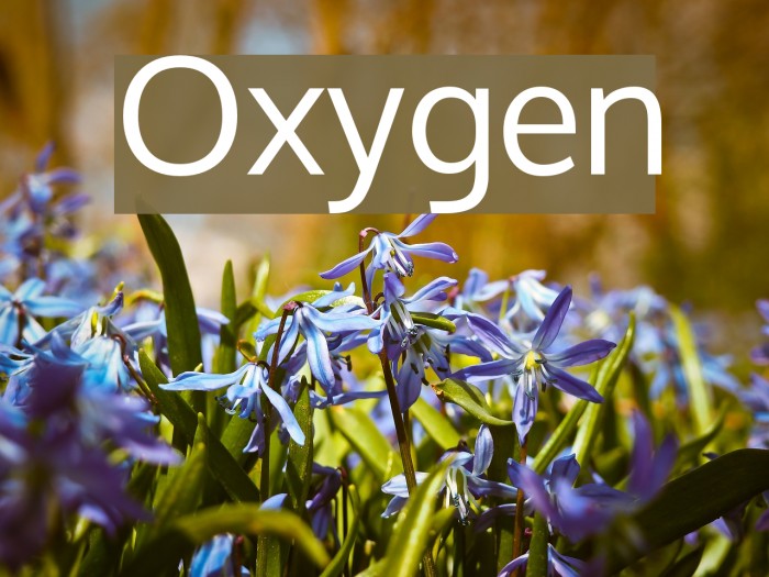 Oxygen Font - FFonts.net
