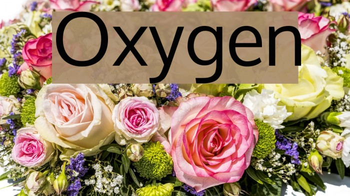 Oxygen Font - FFonts.net