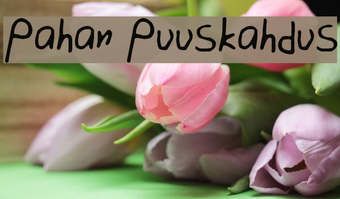 Pahan Puuskahdus Font - FFonts.net