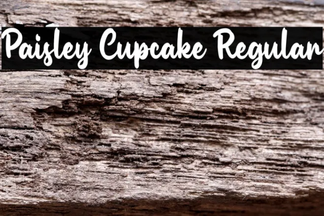 Paisley Cupcake Regular Font | Free Download (TTF/OTF) | FFonts.net