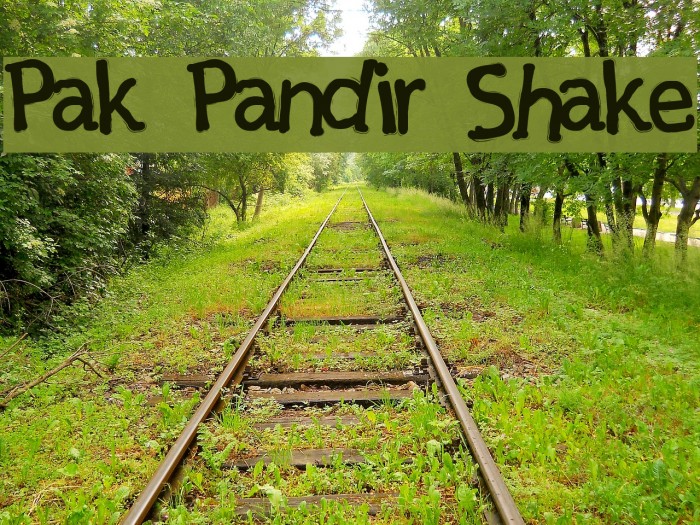 Pak Pandir Shake Font - FFonts.net