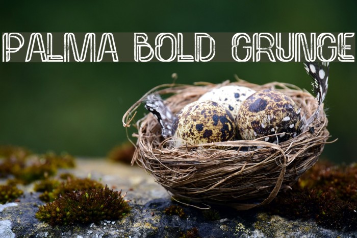 Palma Bold Grunge Font - FFonts.net