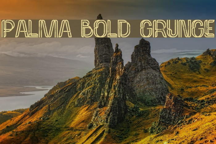Palma Bold Grunge Font - FFonts.net