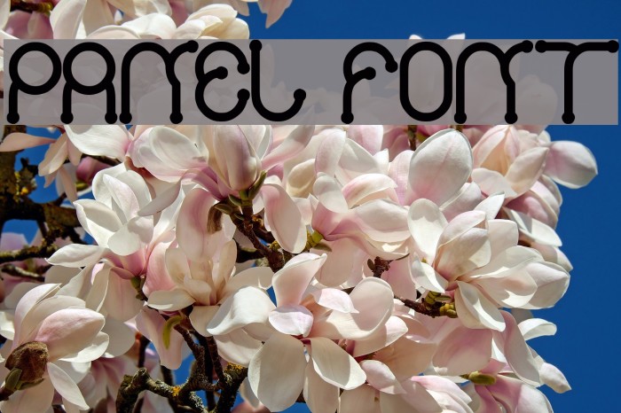 Panel Font - FFonts.net