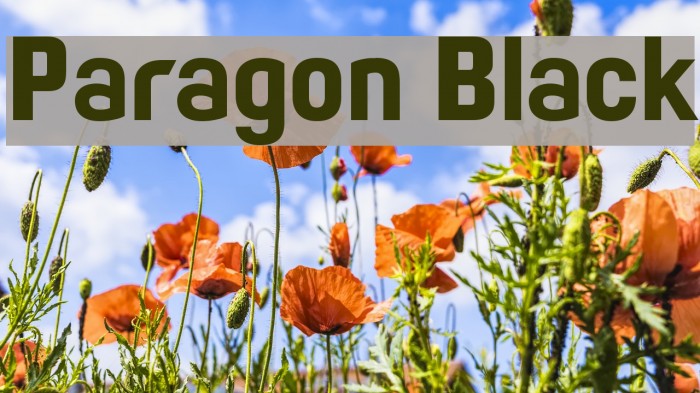 Paragon Black Font - FFonts.net