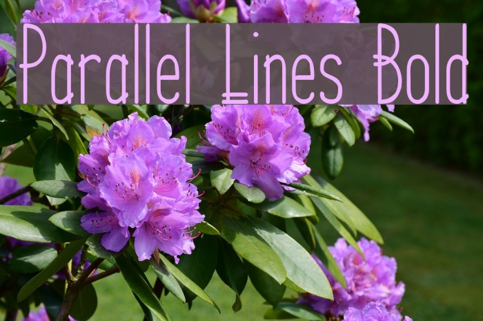 Parallel Lines Bold Font - FFonts.net