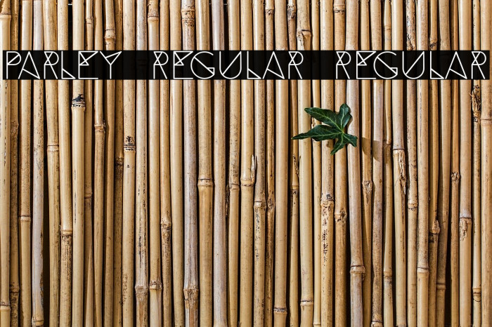 Parley Regular Regular Font - FFonts.net