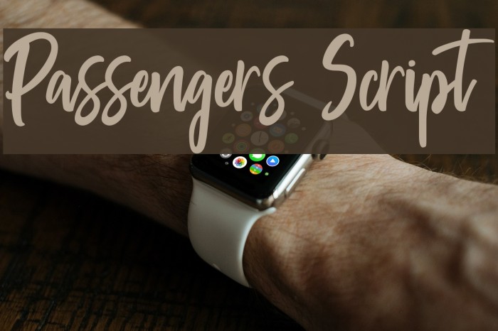 Passengers Script Font - FFonts.net