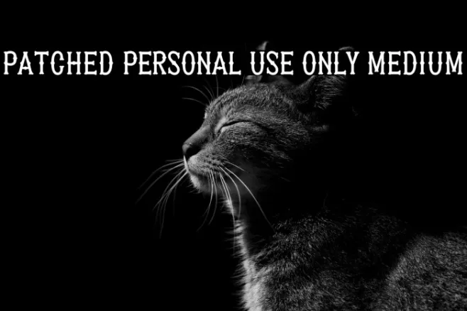 Patched PERSONAL USE ONLY Medium Font | Free Download (TTF/OTF) | FFon