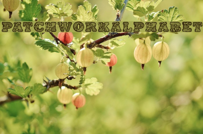 PatchworkAlphabet Font - FFonts.net