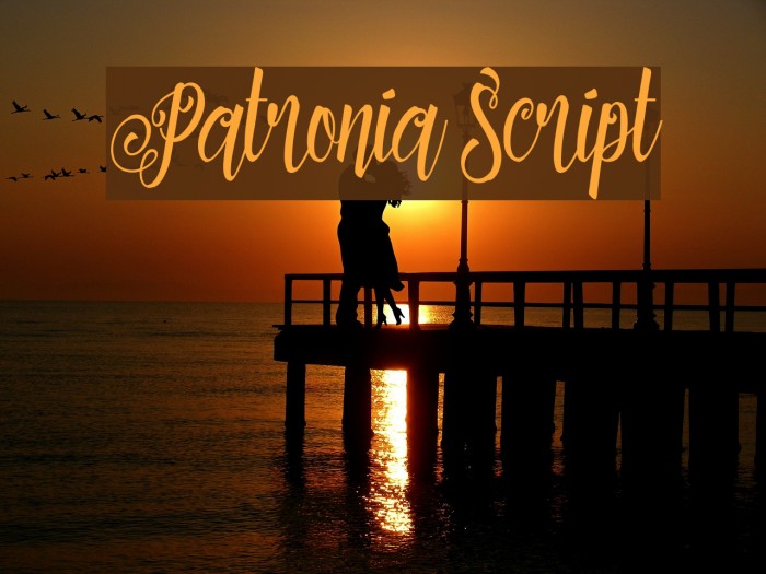 Patronia Script Font - FFonts.net