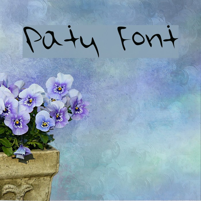 Paty Font - FFonts.net