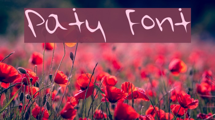 Paty Font - FFonts.net