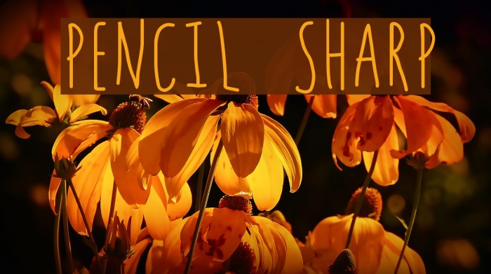 PENCIL SHARP Font - FFonts.net