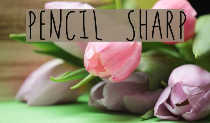 PENCIL SHARP Font - FFonts.net
