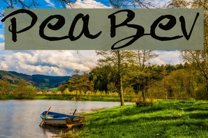 Pea Bev Font - FFonts.net