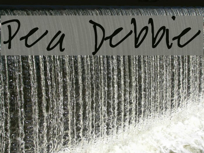 Pea Debbie Font - FFonts.net