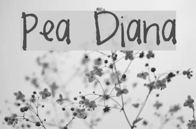Pea Diana Font | Free Download (TTF/OTF) | FFonts.net