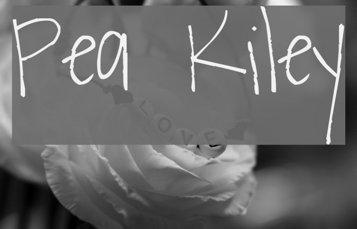Pea Kiley Font - FFonts.net