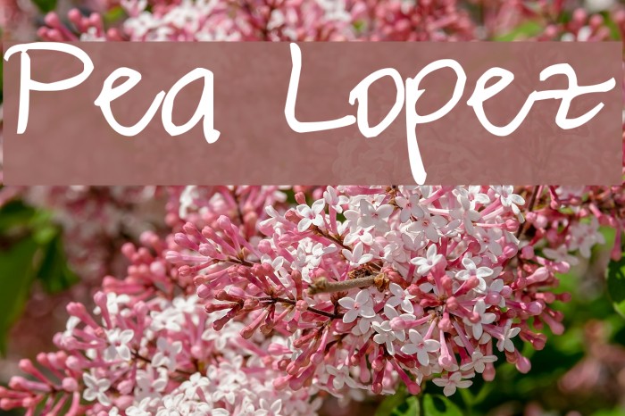 Pea Lopez Font - FFonts.net