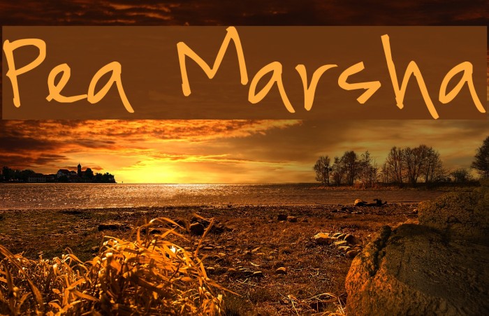 Pea Marsha Font - FFonts.net