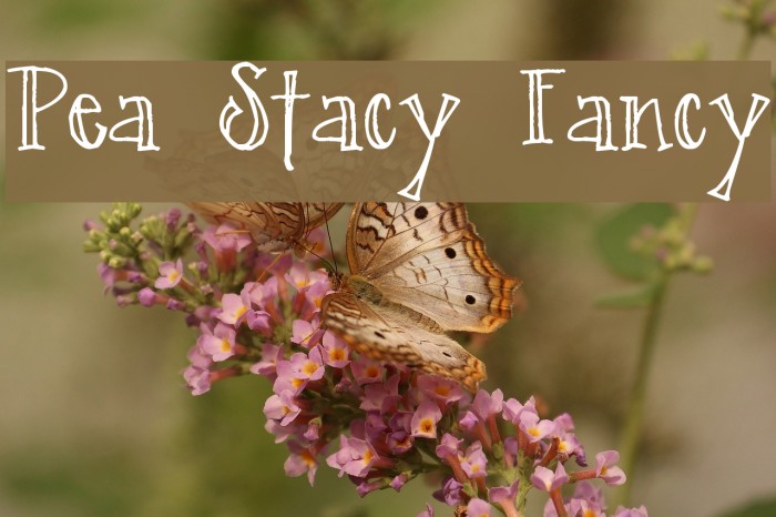 Pea Stacy Fancy Font FFonts