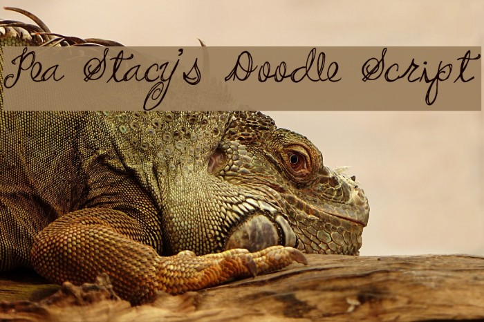 Pea Stacy's Doodle Script Font - FFonts.net
