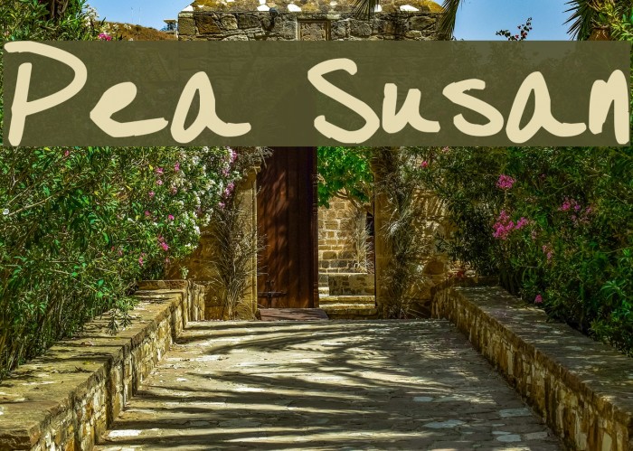 Pea Susan Font - FFonts.net