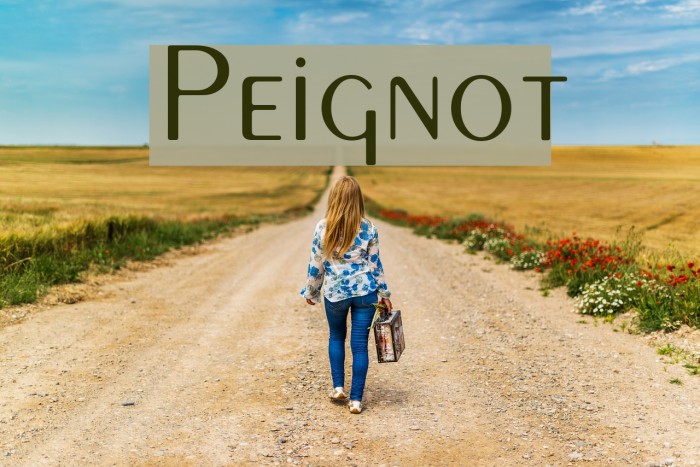Peignot Font - FFonts.net