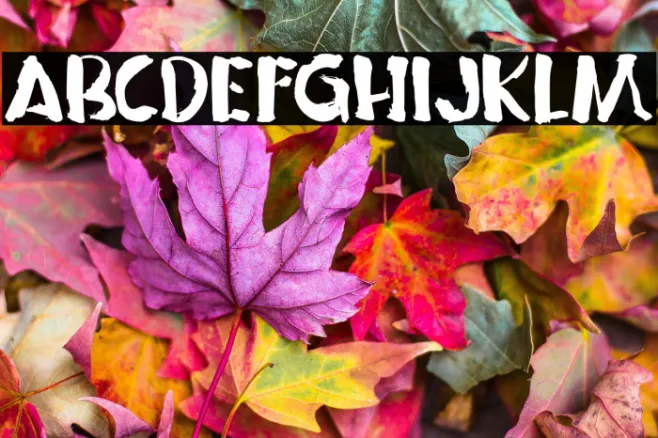 Peking Duck DEMO Regular Font | Free Download (TTF/OTF) | FF