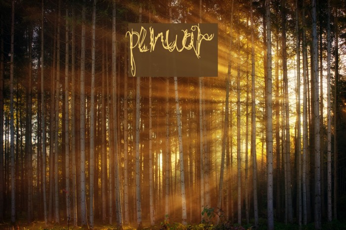 PenWar Font - FFonts.net