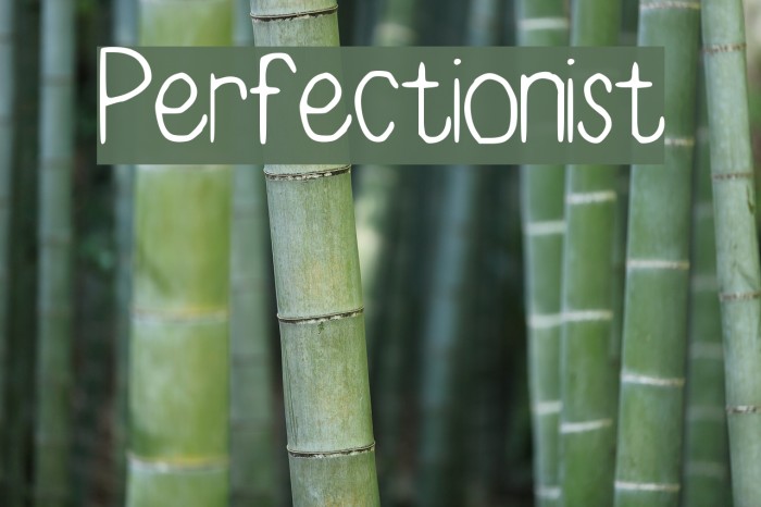 Perfectionist Font - FFonts.net