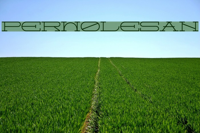 Perwolesan Font - FFonts.net