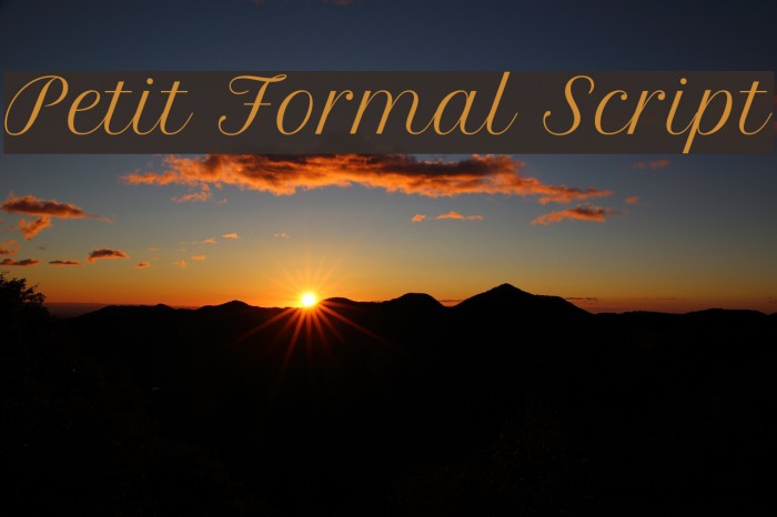 Petit Formal Script Font FFonts