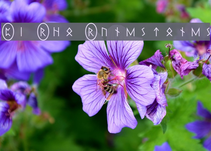 Pi Rho Runestones Font - FFonts.net