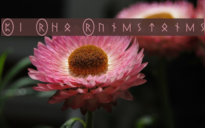 Pi Rho Runestones Font - FFonts.net