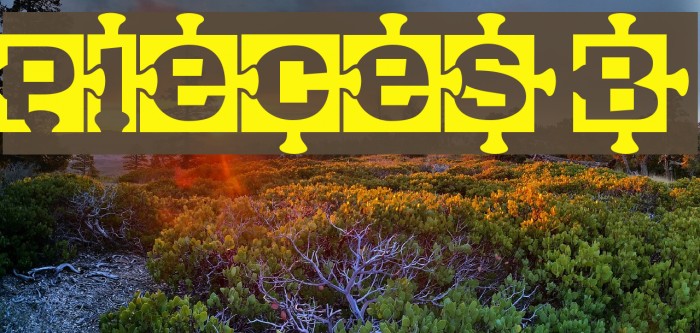 Pieces B Font - FFonts.net