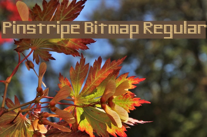 Pinstripe Bitmap Regular Font - FFonts.net