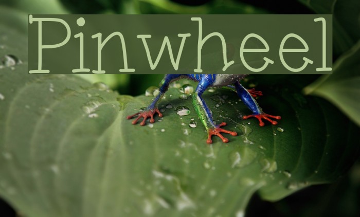 Pinwheel Font - FFonts.net