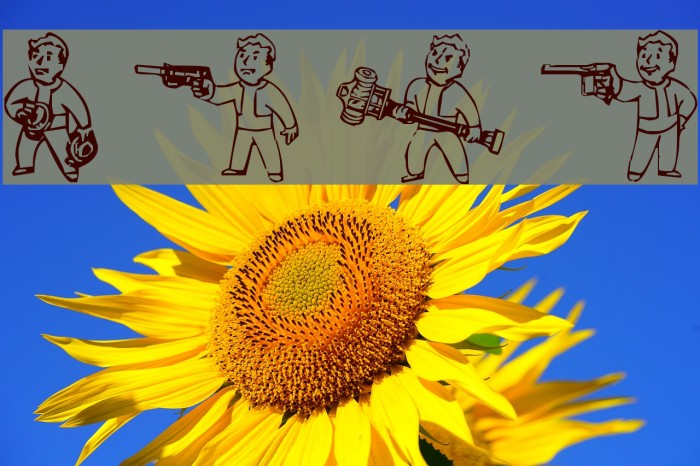 Pip Boy Weapons Dingbats Font - FFonts.net