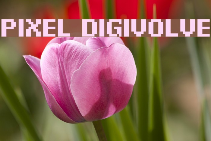 Pixel Digivolve Font - FFonts.net