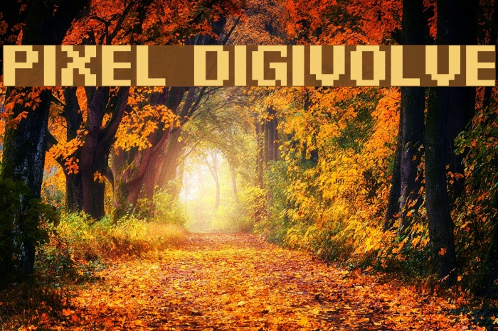 Pixel Digivolve Font - FFonts.net