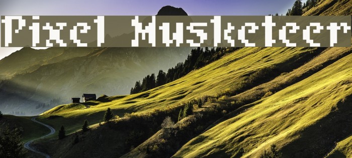 Pixel Musketeer Font - FFonts.net