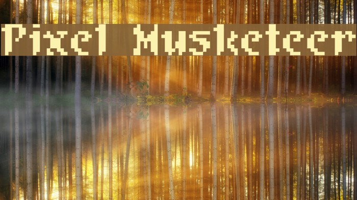 Pixel Musketeer Font - FFonts.net